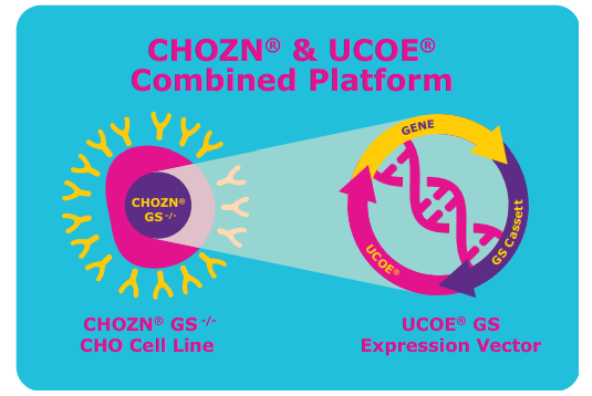 ─AD─ バイオ医薬品のスピード開発を実現する「CHOZN🄬細胞株」 ～UCOE🄬技術との融合で細胞株開発効率アップへ～ メルク | PHARM TECH JAPAN ONLINE-製剤技術と ...